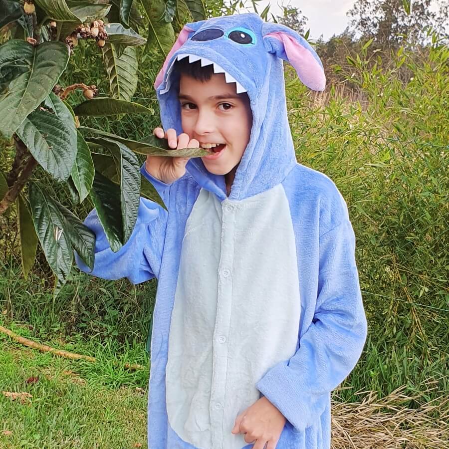 Disfraz de Stitch | Don Disfraz